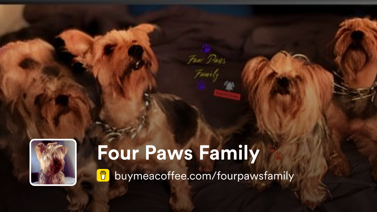 Four Paws Family 🐾 is I love making videos and taking pictures of my ...