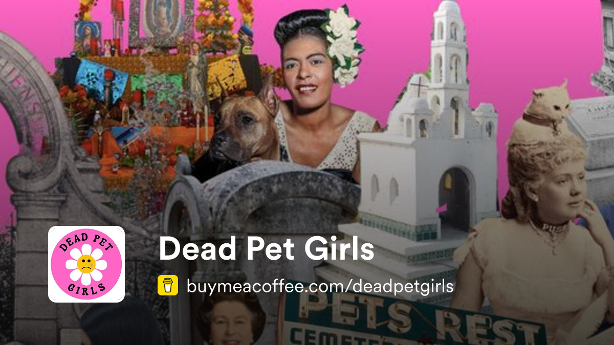 Dead Pet Girls - Buymeacoffee