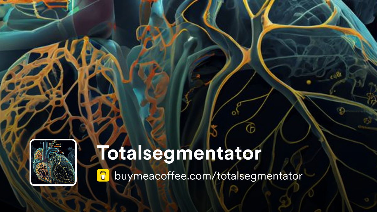 Totalsegmentator is Image segmentations as a service - Buymeacoffee