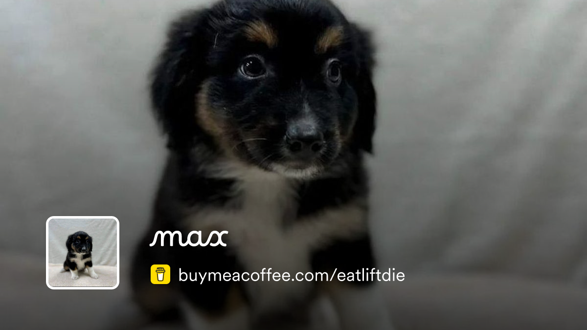 Gallery | max - Buymeacoffee