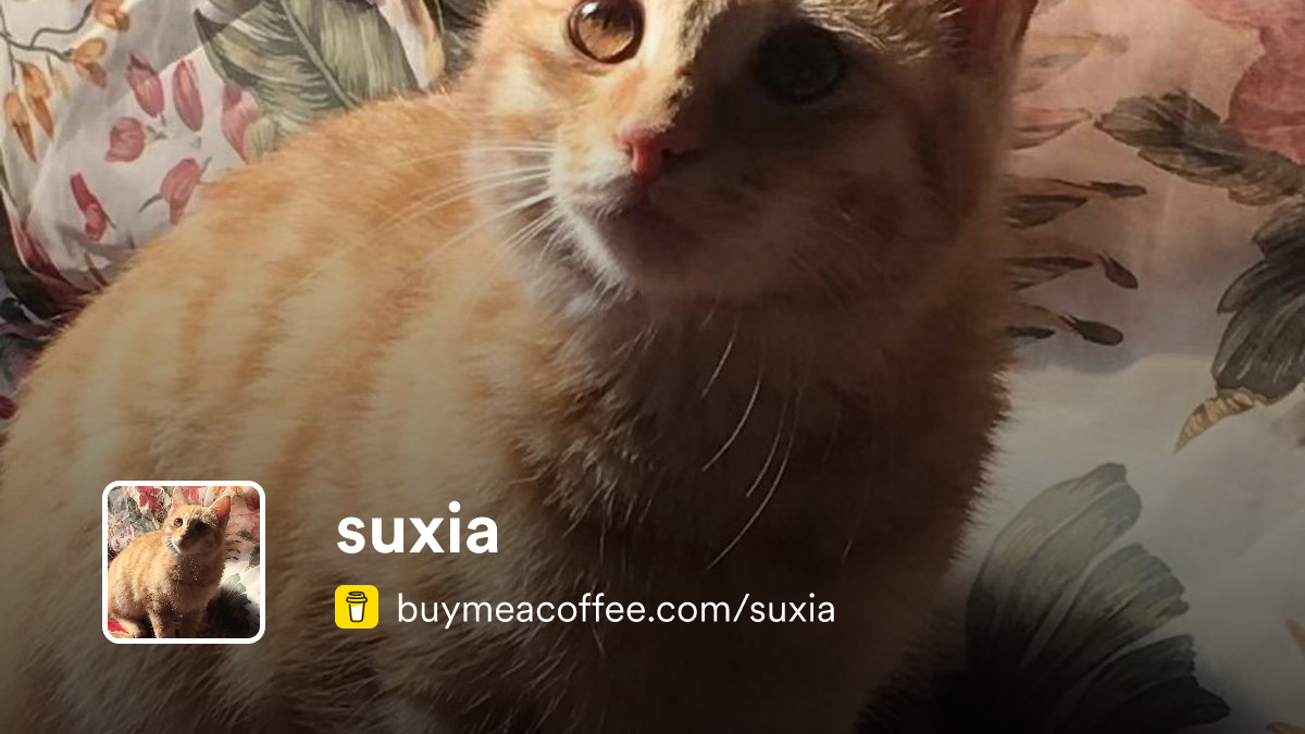 suxia - Buymeacoffee