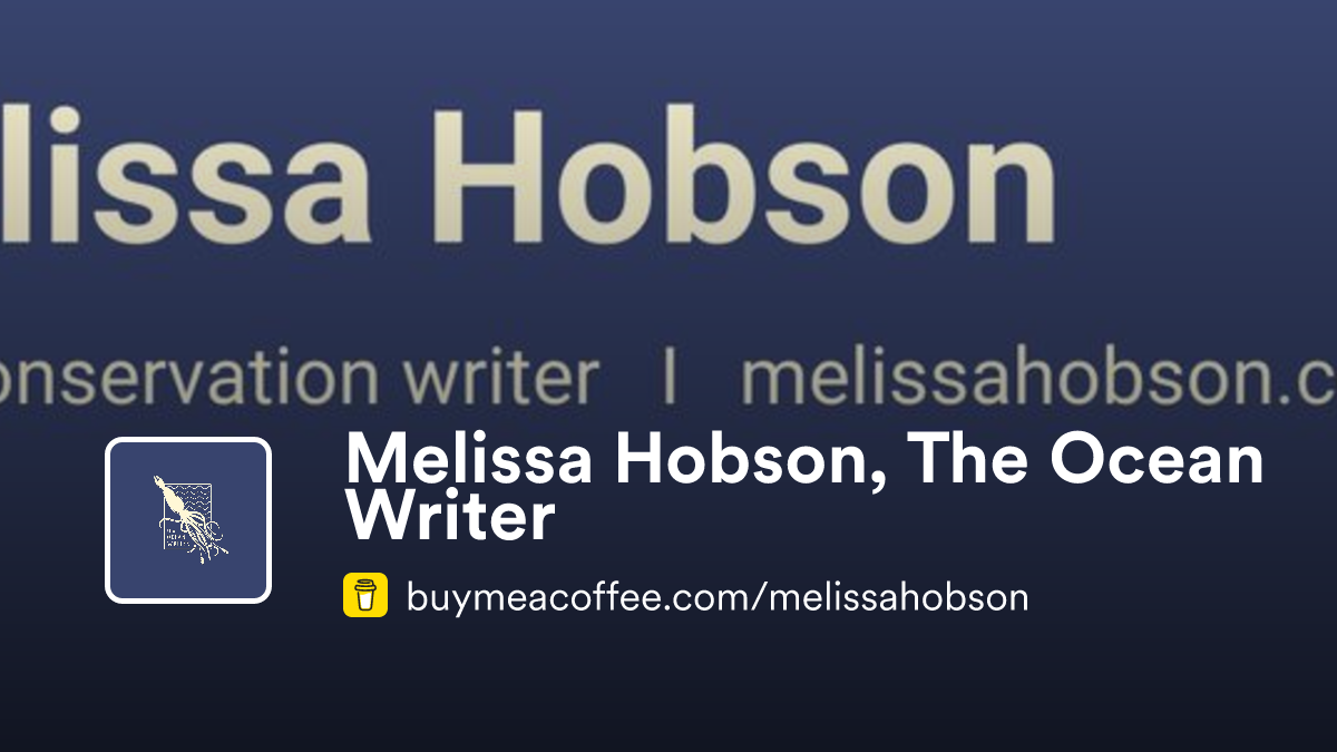 Melissa Hobson, The Ocean Writer is telling stories that inspire people ...