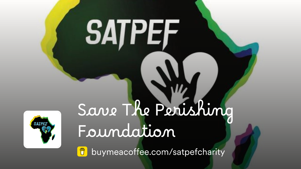 Save The Perishing Foundation is Training the youth using technology ...
