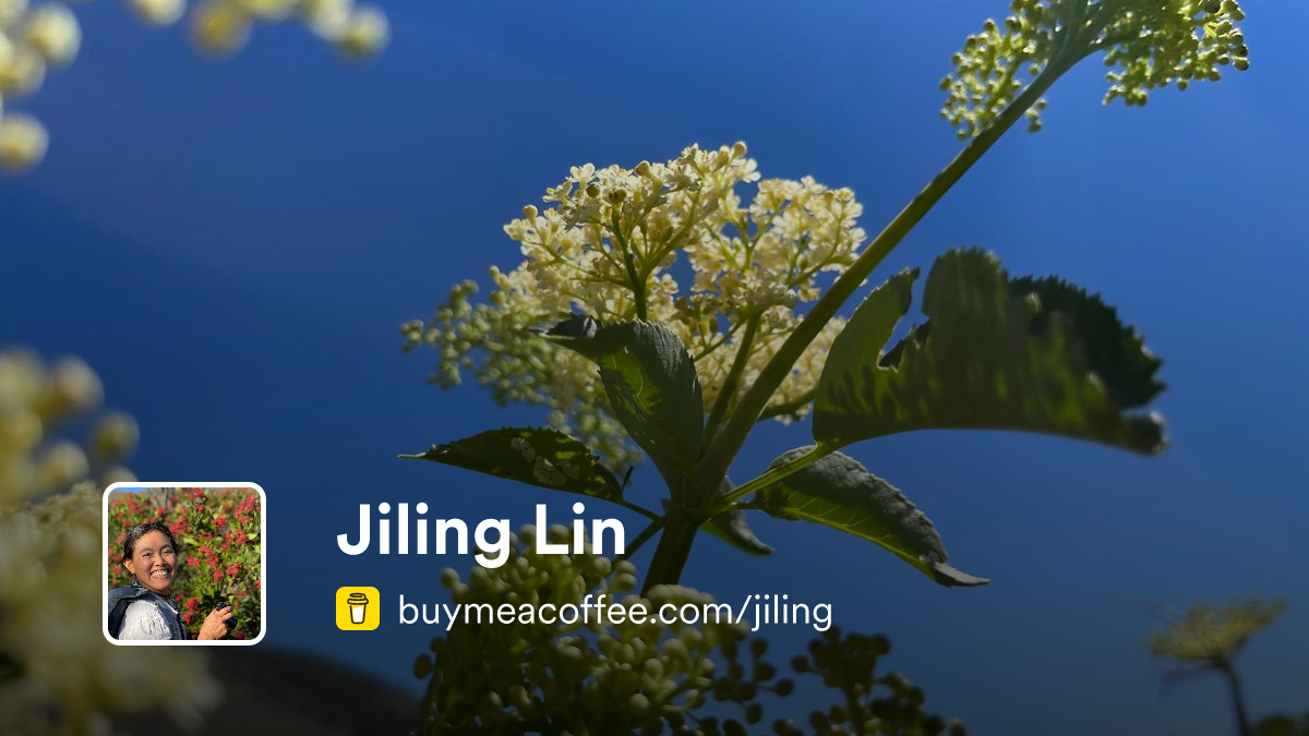 Jiling Lin - Buymeacoffee