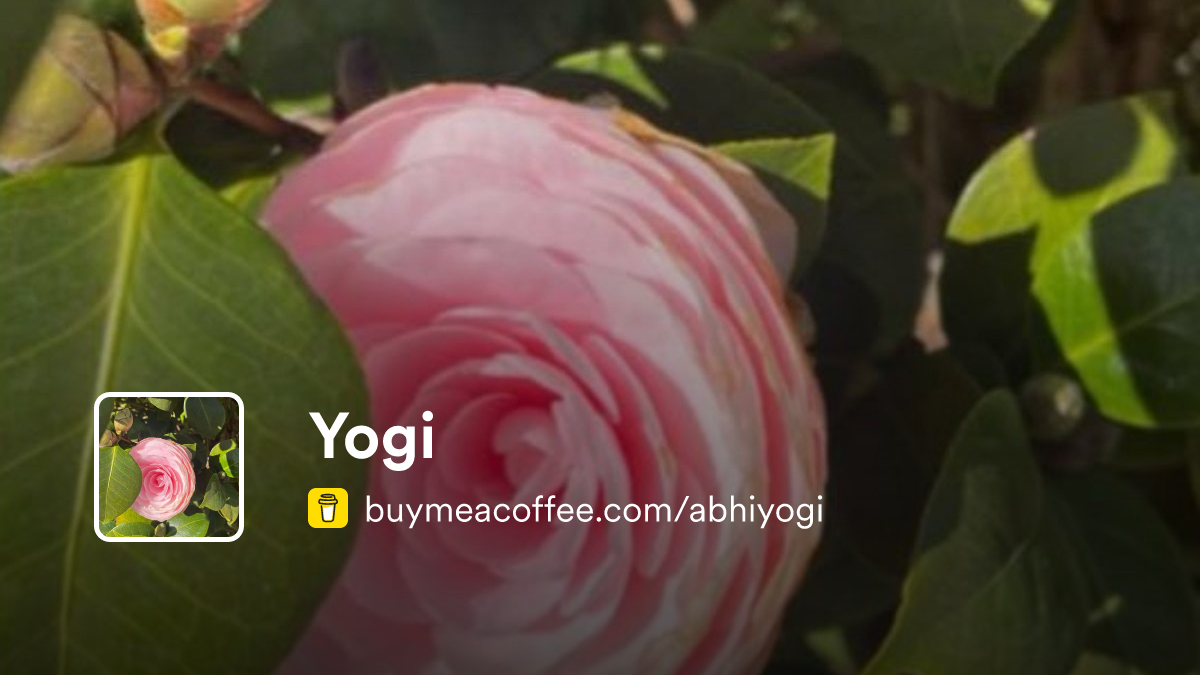 Yogi - Buymeacoffee