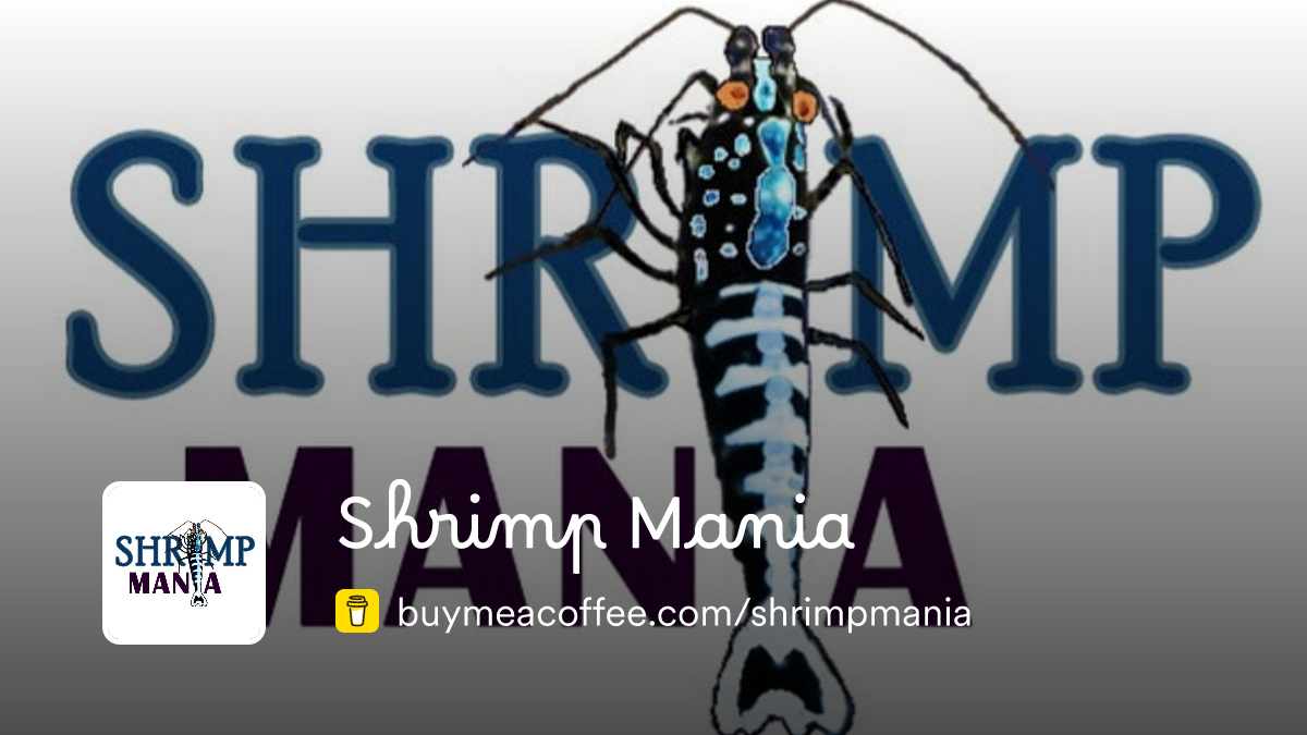 Shrimp Mania - Buymeacoffee