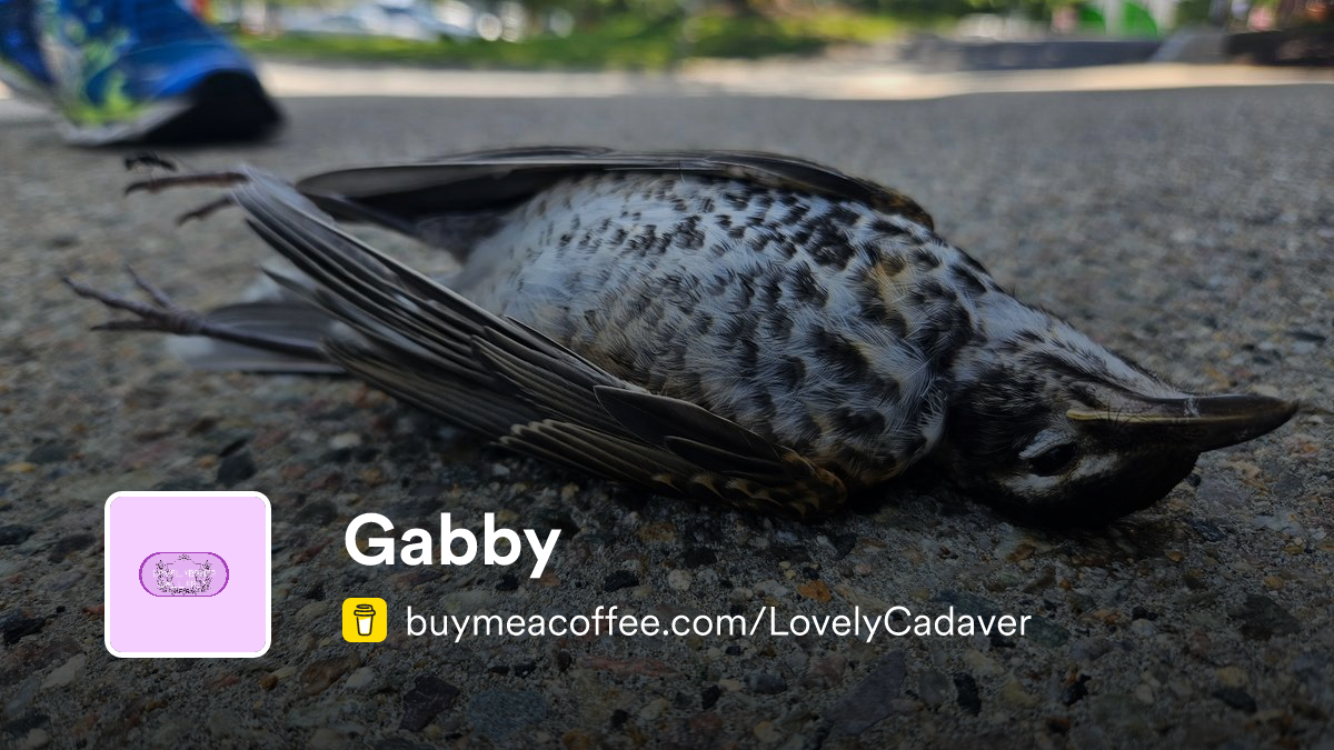 Gabby - Buymeacoffee