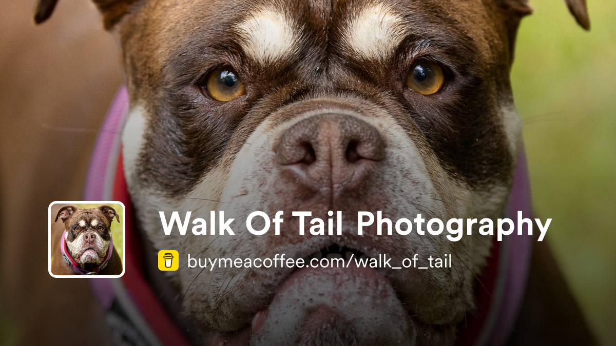 Walk Of Tail Photography is Capture moments with yours and pets actions ...