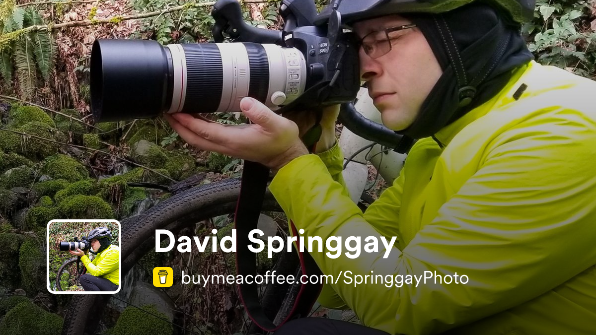 David Springgay - Buymeacoffee