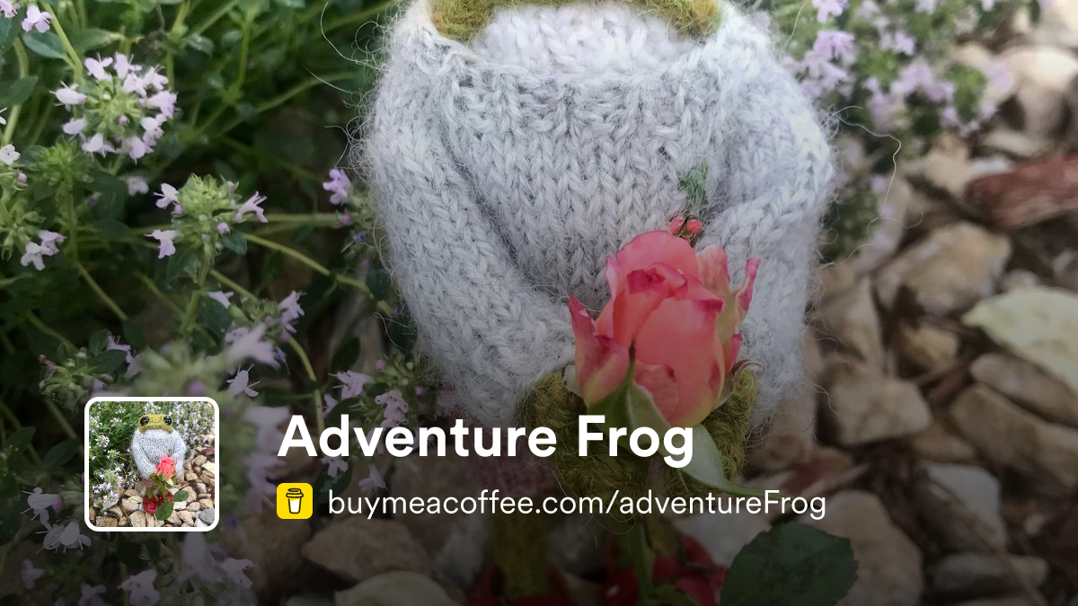 Adventure Frog is videos, pics - Buymeacoffee