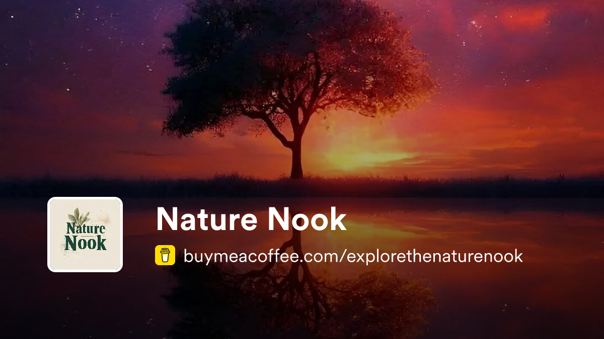 Nature Nook is Digital Artist ツ - Buymeacoffee