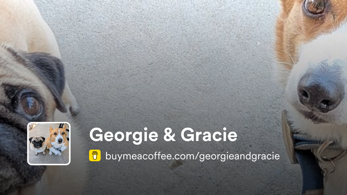 Georgie & Gracie is Pet Lifestyle Content - Buymeacoffee