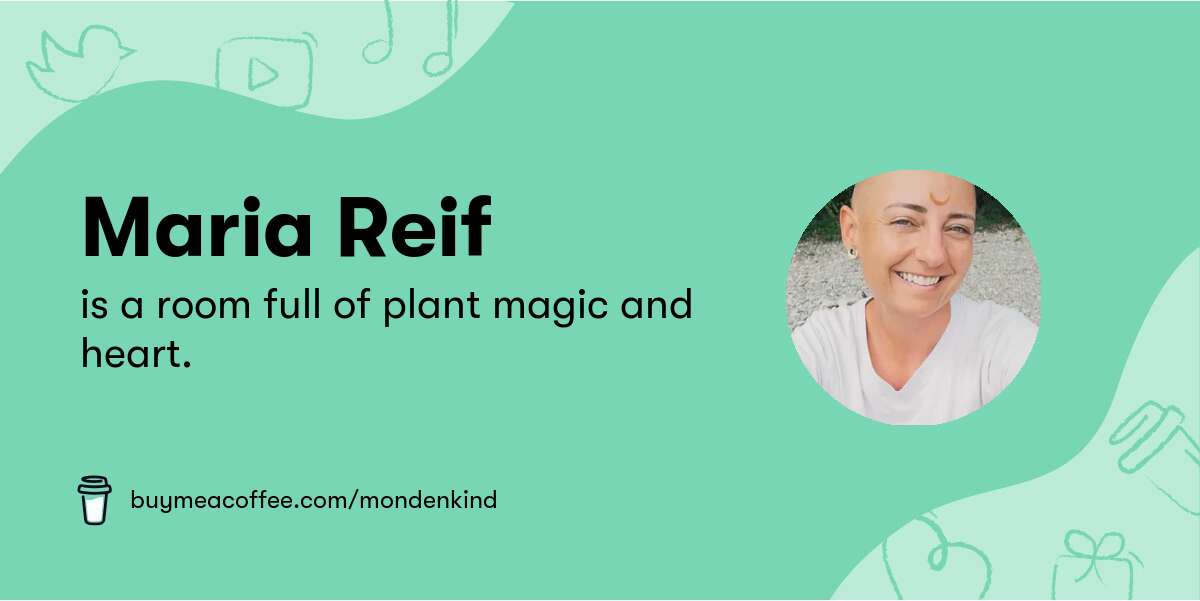 Posts | Maria Reif - Buymeacoffee