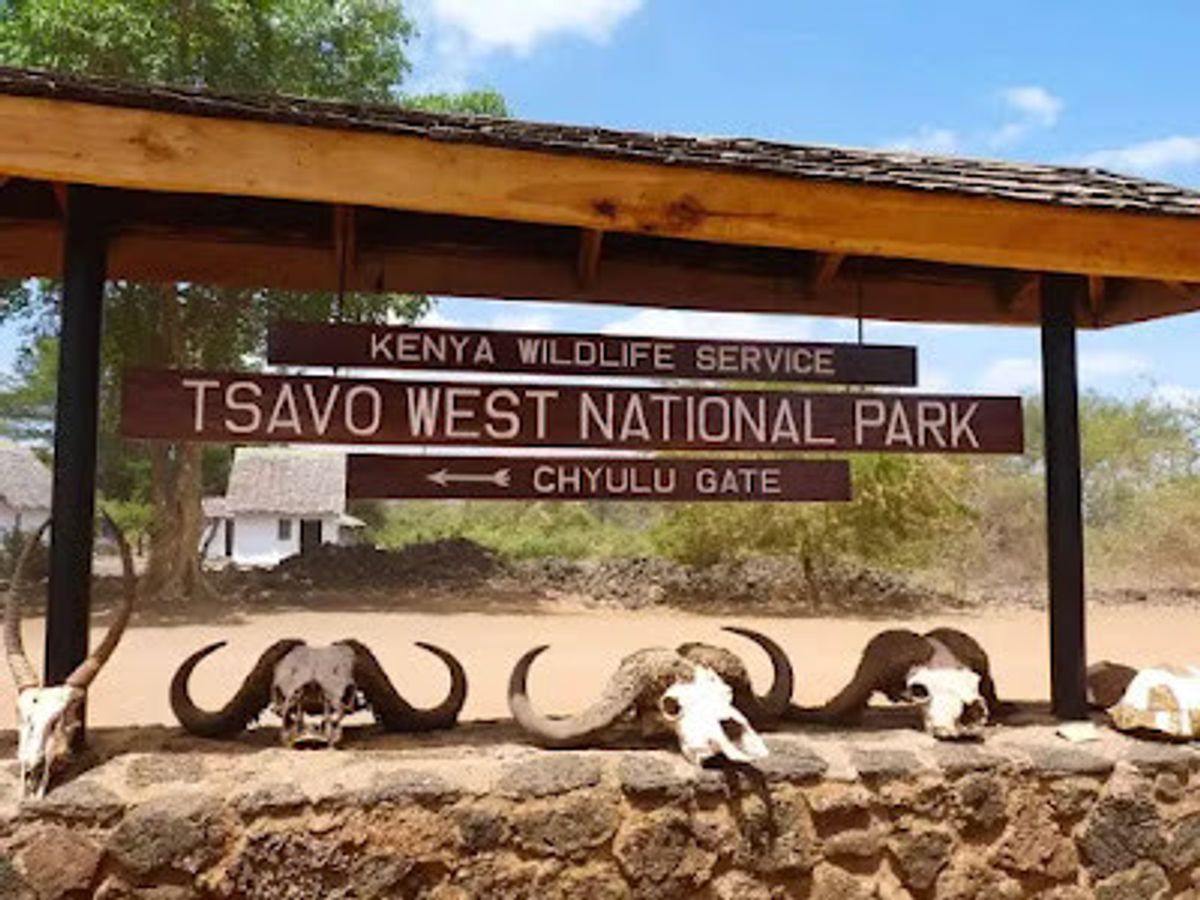 THE LEGEND OF THE TSAVO — MIKE NJENGA - Buymeacoffee