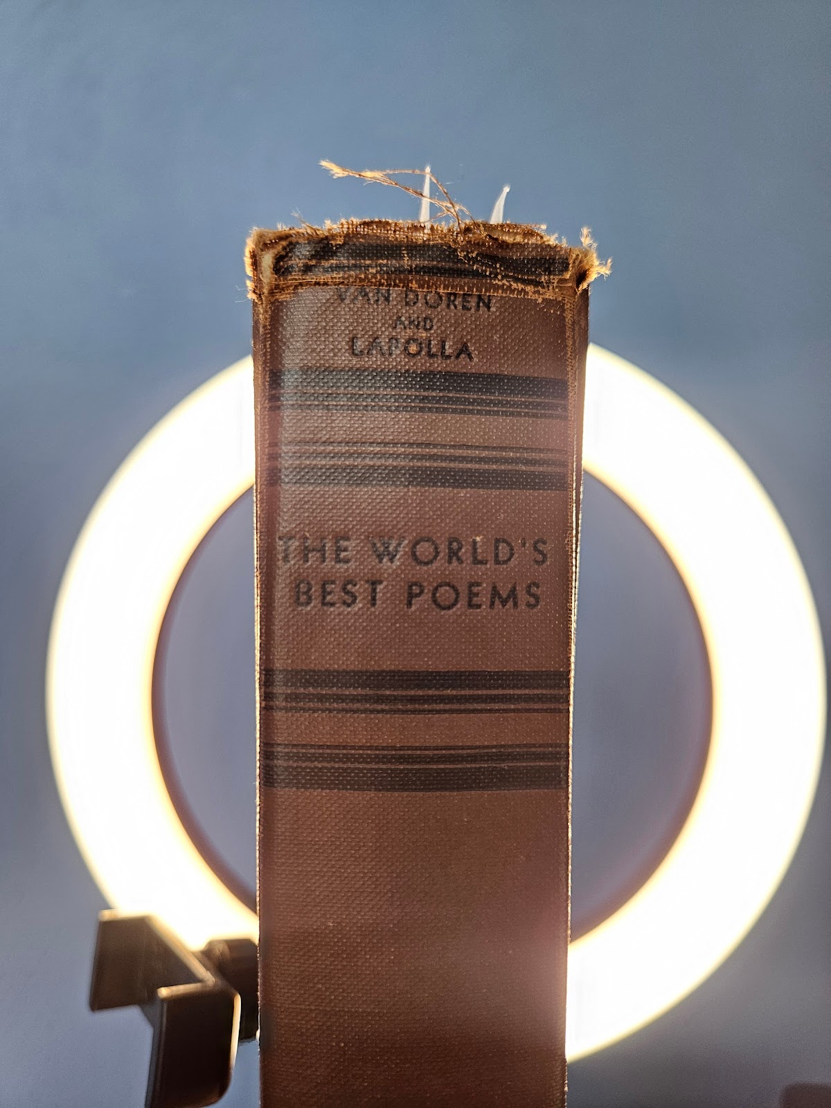 The $100,000 Book — Denice Donovan - Buymeacoffee