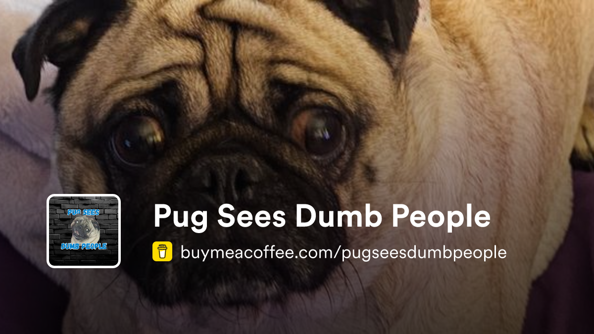 Pug Sees Dumb People is YouTube Content Creator - Buymeacoffee