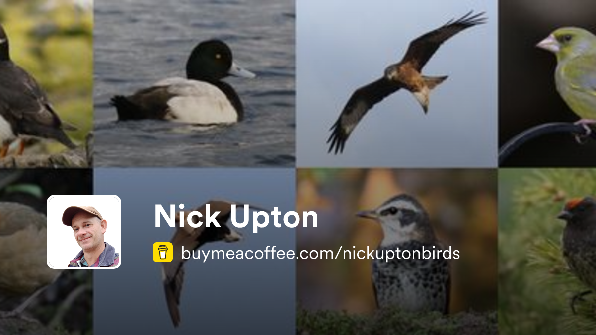 Extras | Nick Upton - Buymeacoffee