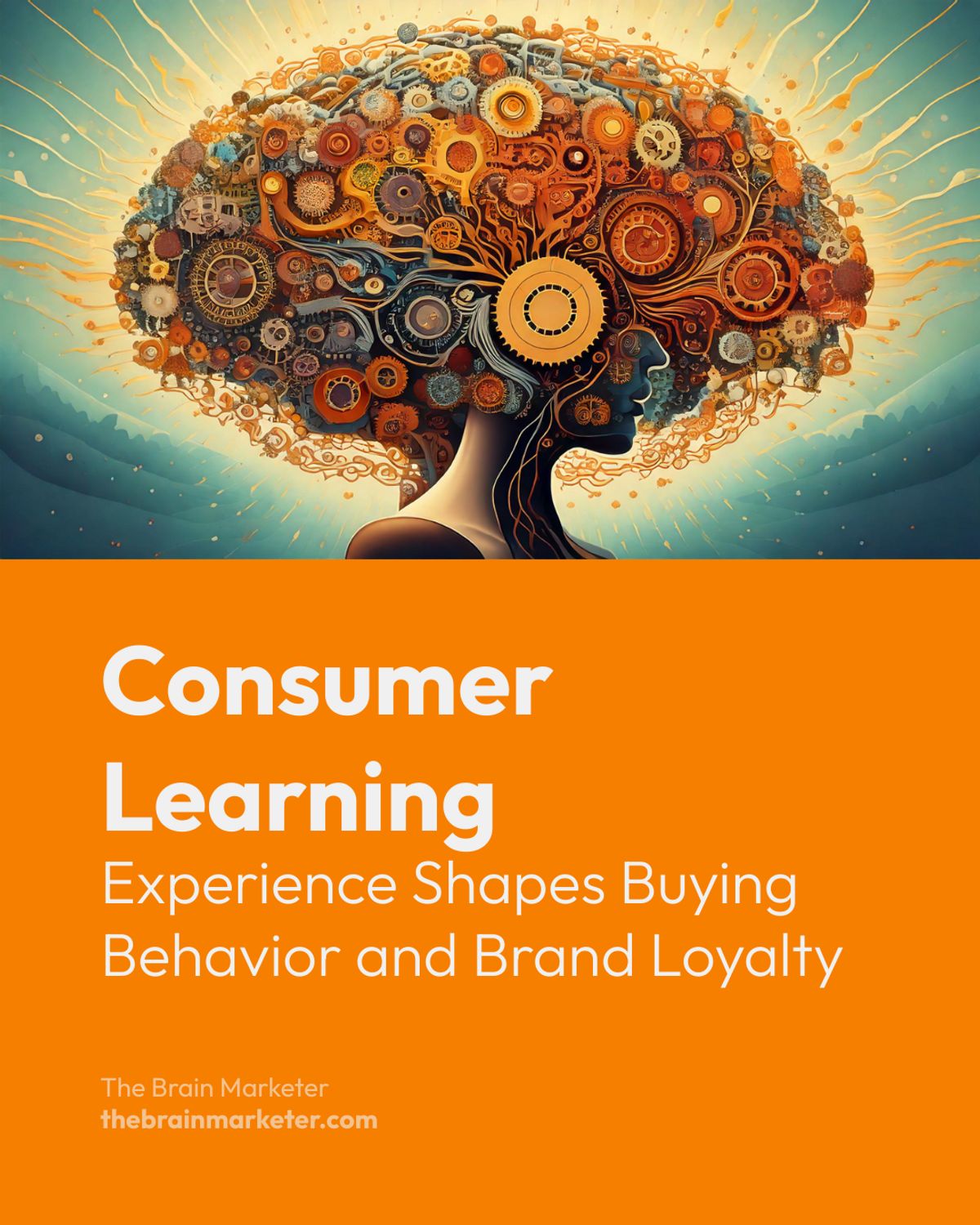 Consumer Learning: How Experience Shapes Buying Behavior and Brand ...