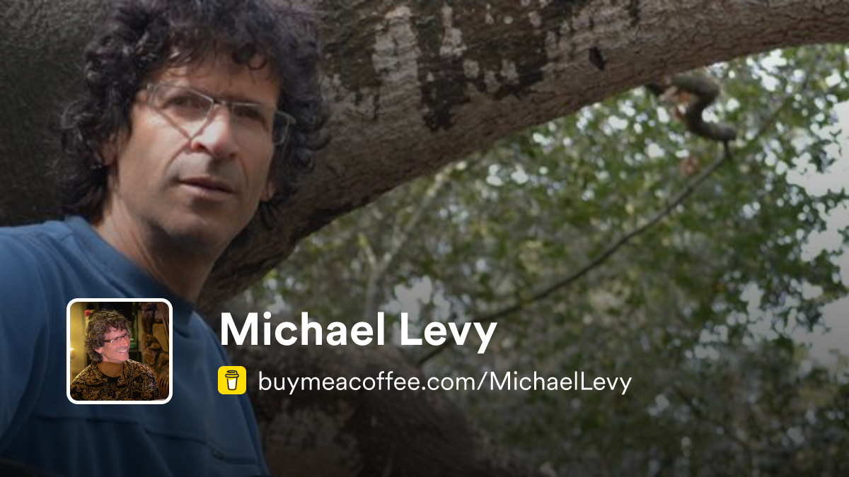 Michael Levy is original music - Buymeacoffee