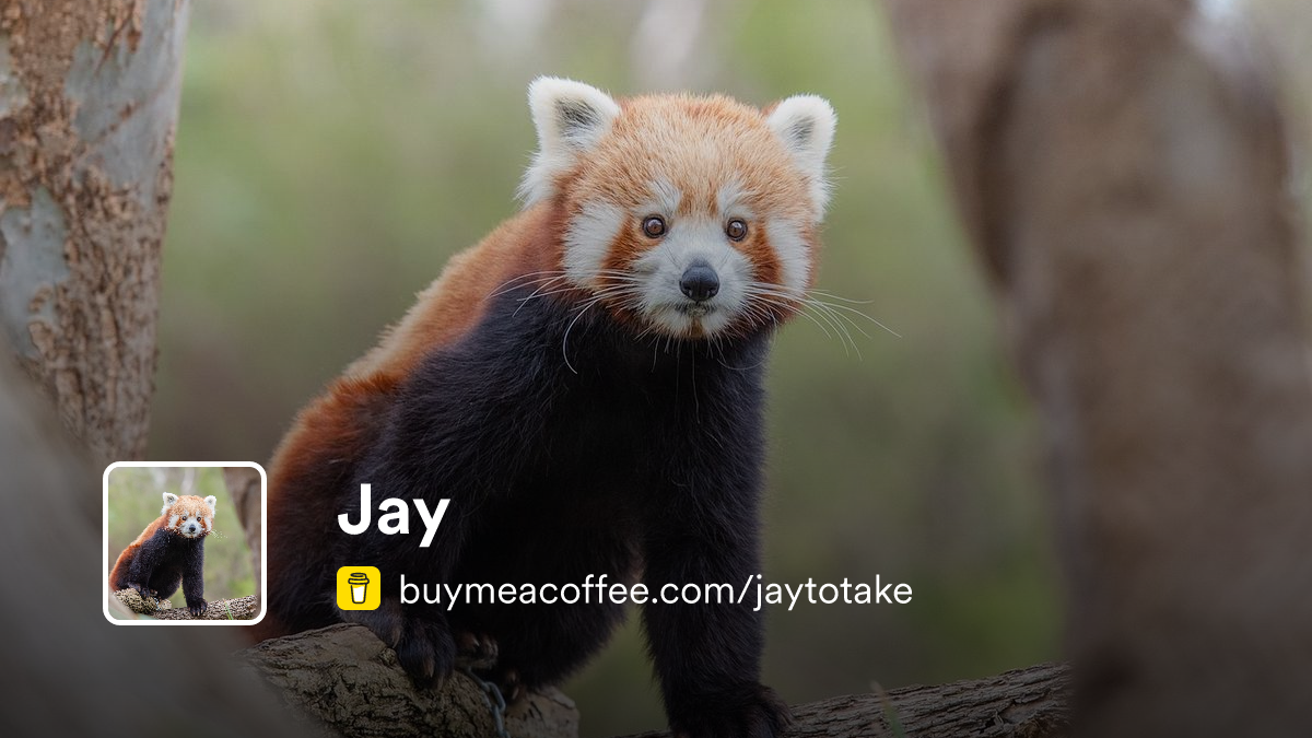 Jay - Buymeacoffee
