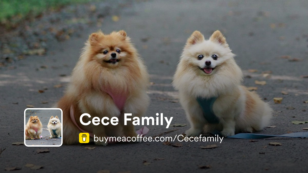 Cece Family - Buymeacoffee