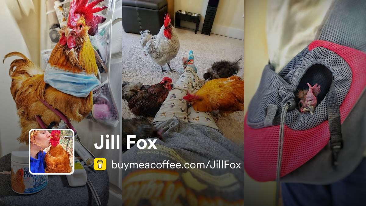Jill Fox - Buymeacoffee