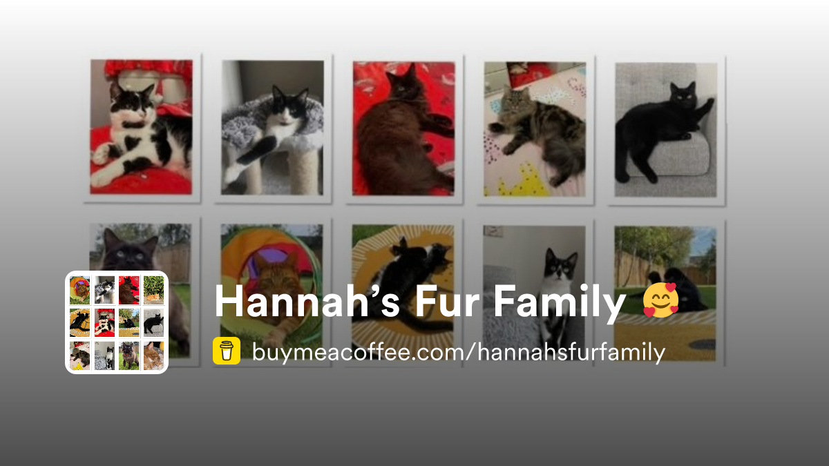 Hannah’s Fur Family 🥰 - Buymeacoffee
