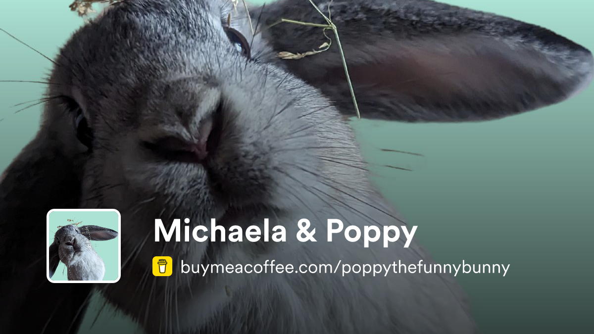 Michaela & Poppy is content - Buymeacoffee