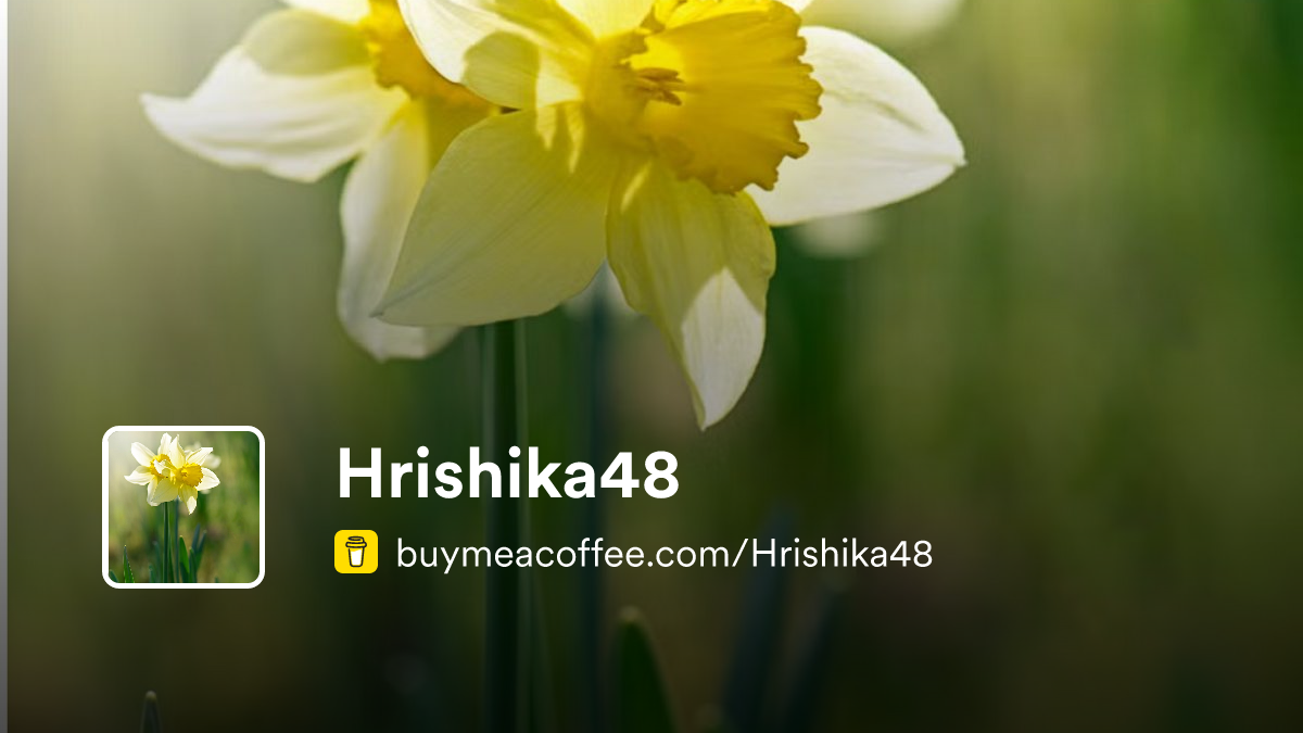 Extras | Hrishika48 - Buymeacoffee