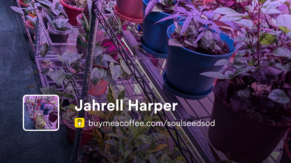 Jahrell Harper - Buymeacoffee
