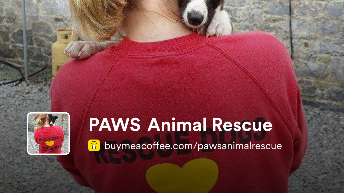 PAWS Animal Rescue - Buymeacoffee