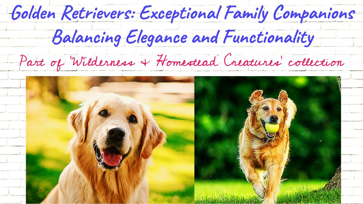 Golden Retrievers: Exceptional Family Companions Balancing Elegance and Functionality — The ...