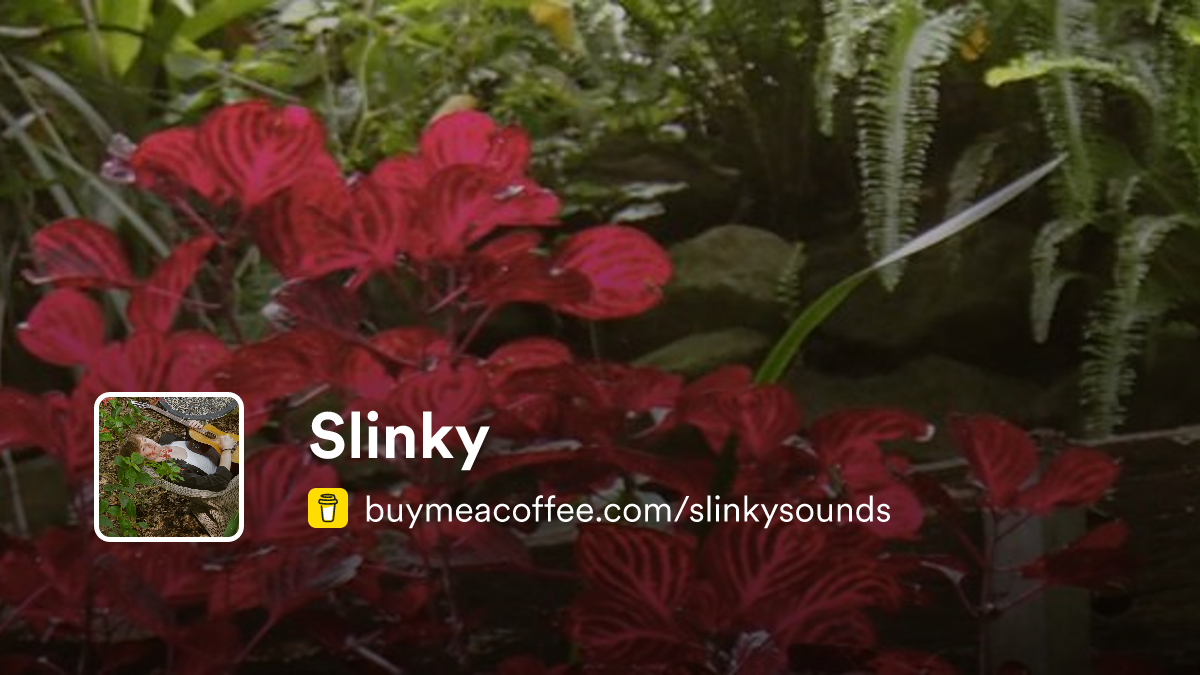 Slinky is Music - Buymeacoffee