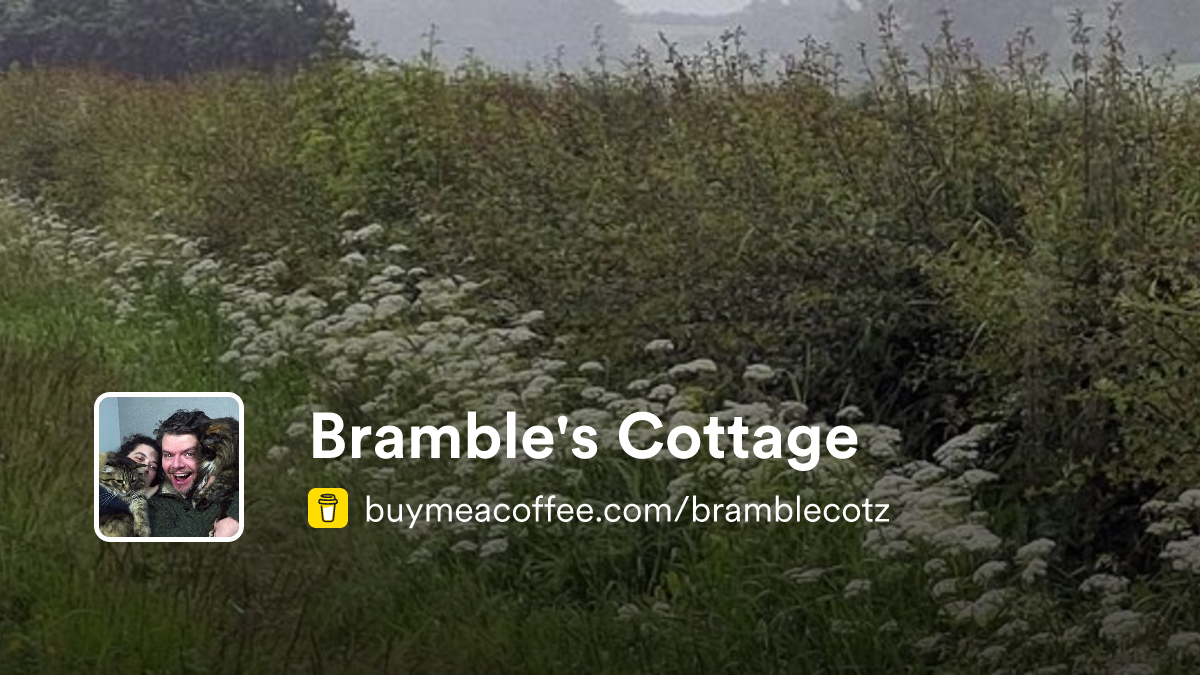 Bramble's Cottage is Vlogging our new adventure: A mini homestead in ...