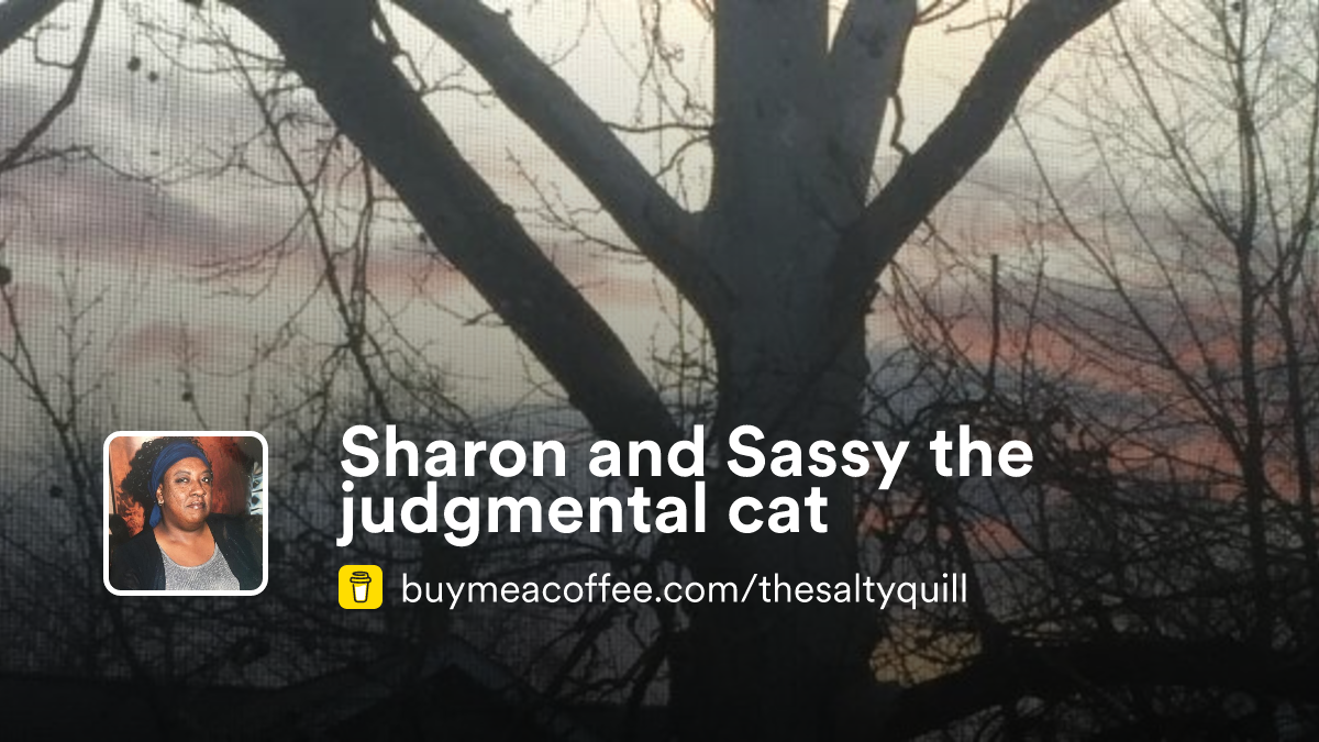 Sharon and Sassy the judgmental cat is creating life lessons, STEM ...