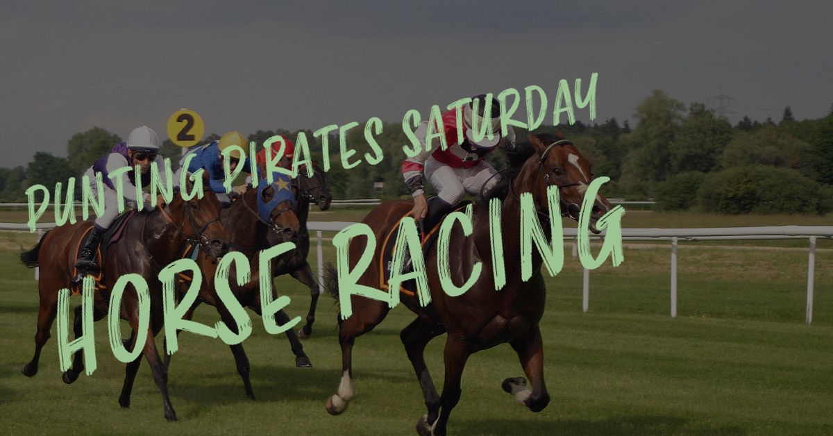 Freebie - Saturday Horse Racing — No Bull Punters - Buymeacoffee