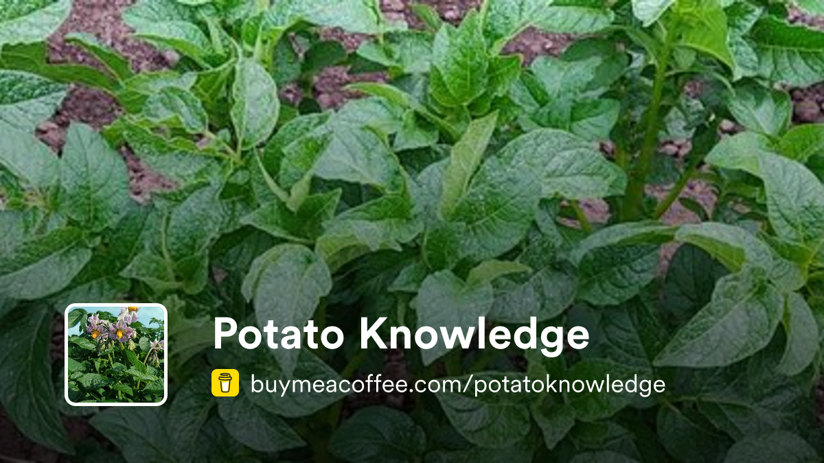 Membership | Potato Knowledge - Buymeacoffee
