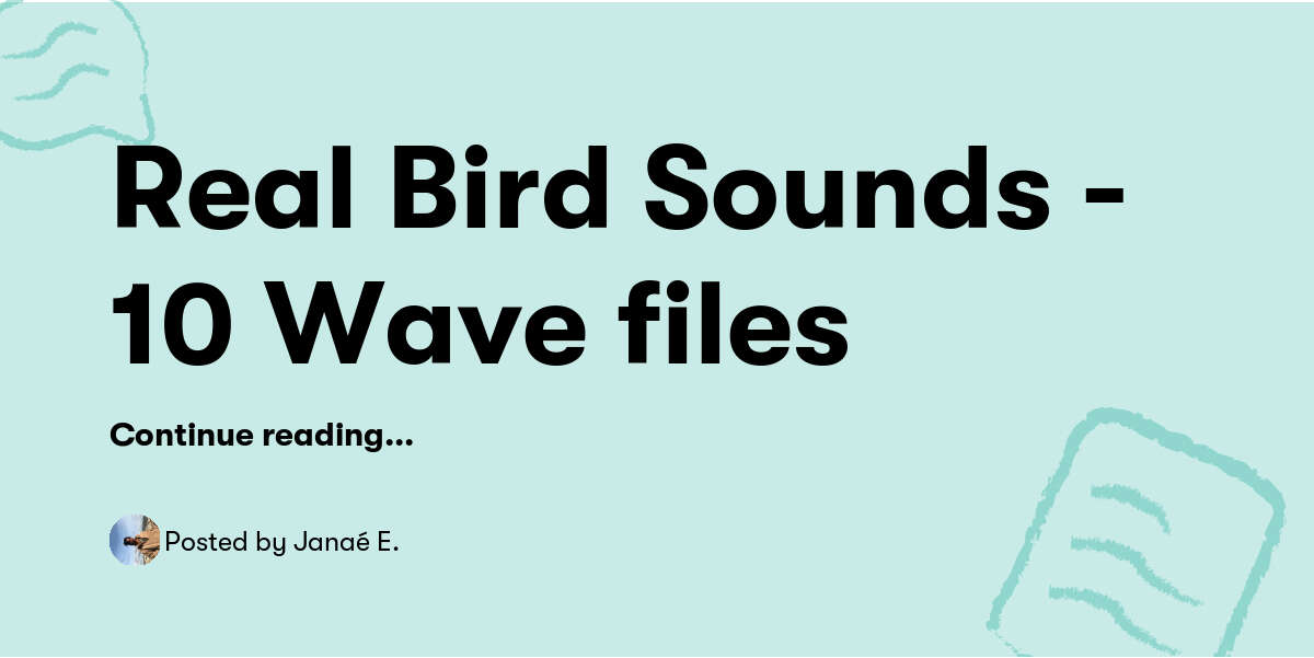 Real Bird Sounds - 10 Wave files — Janaé E. - Buymeacoffee
