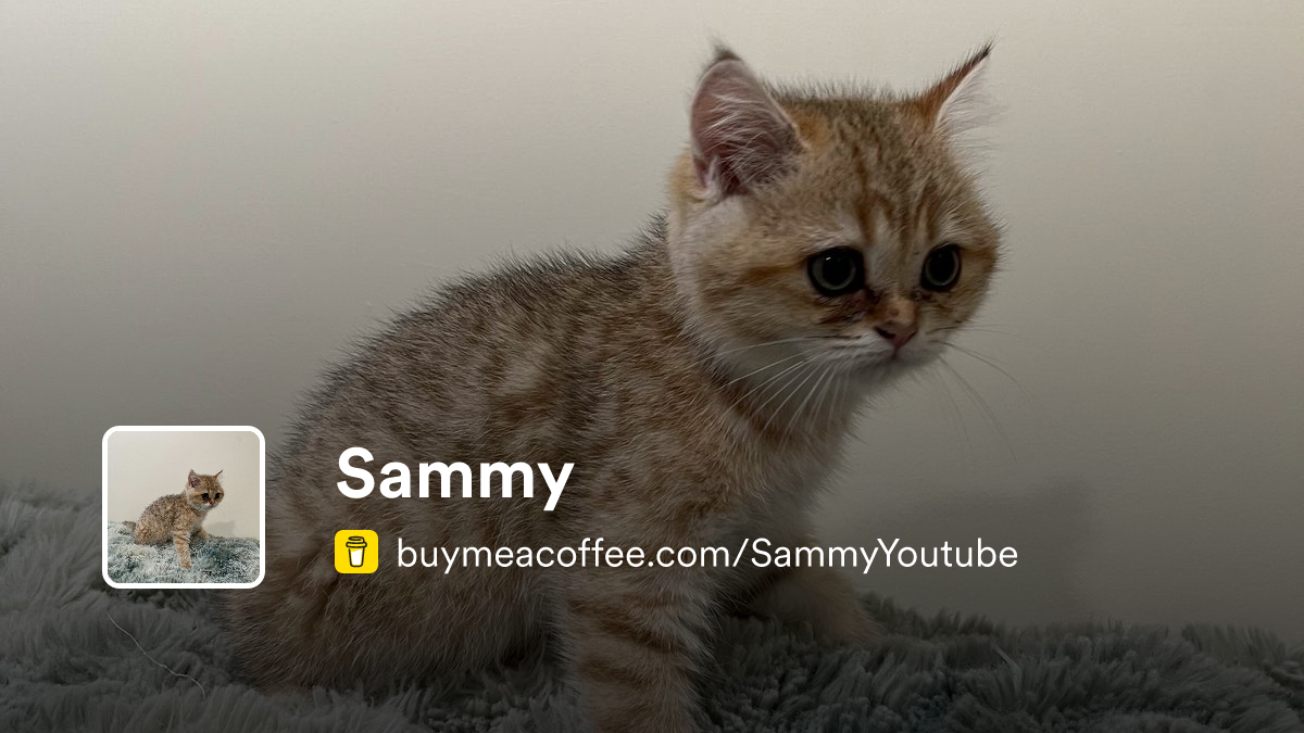 Sammy - Buymeacoffee