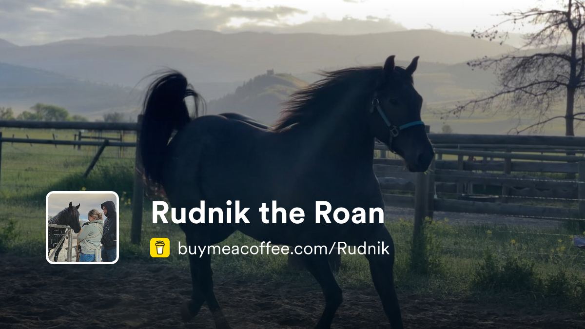 Rudnik the Roan - Buymeacoffee