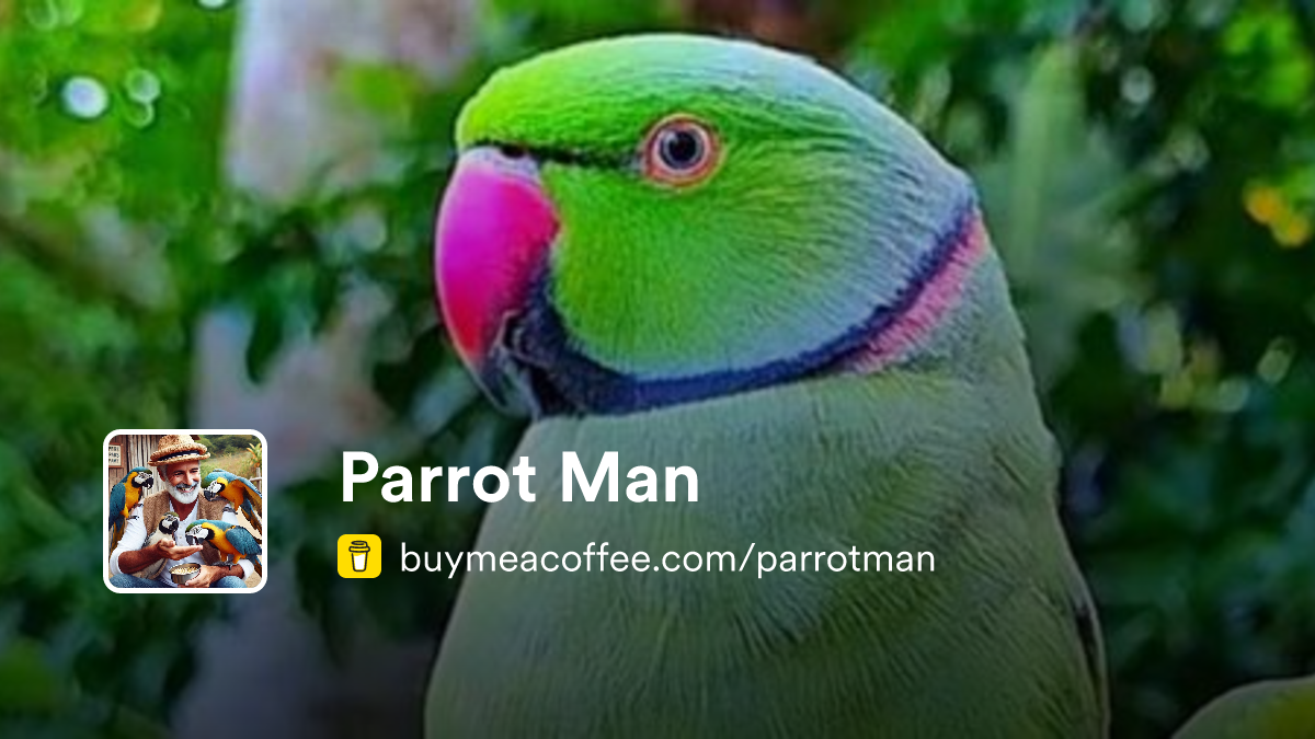 Parrot Man - Buymeacoffee