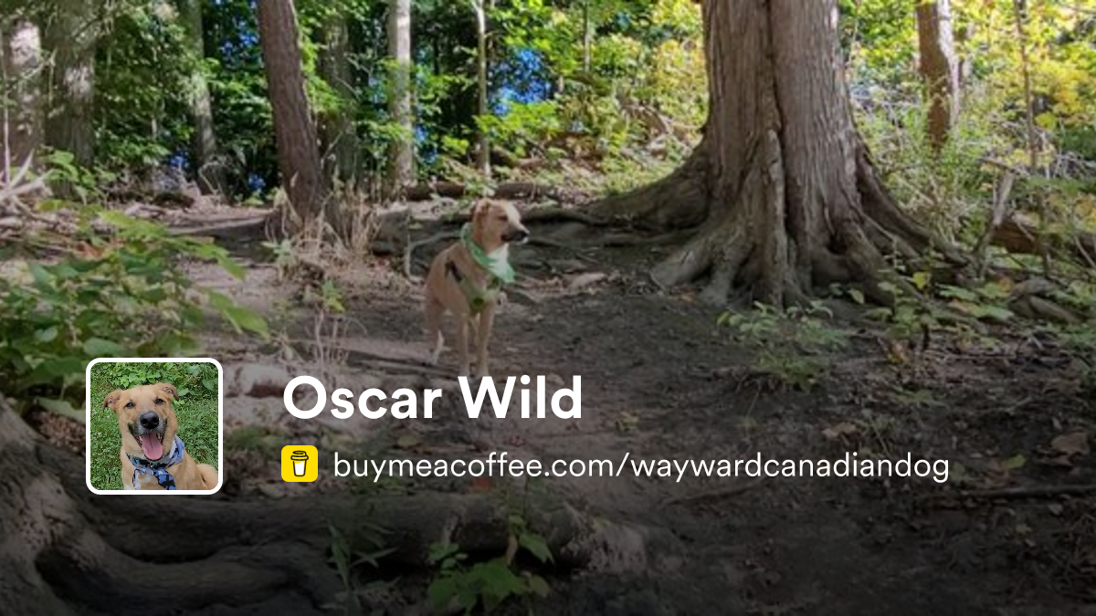 Oscar Wild is Nature walk videos with Oscar Wild - Buymeacoffee