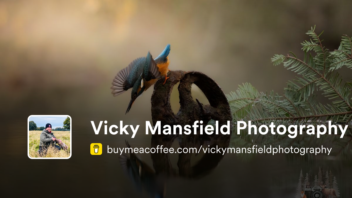 Vicky Mansfield Photography is Wildlife Photography - Buymeacoffee