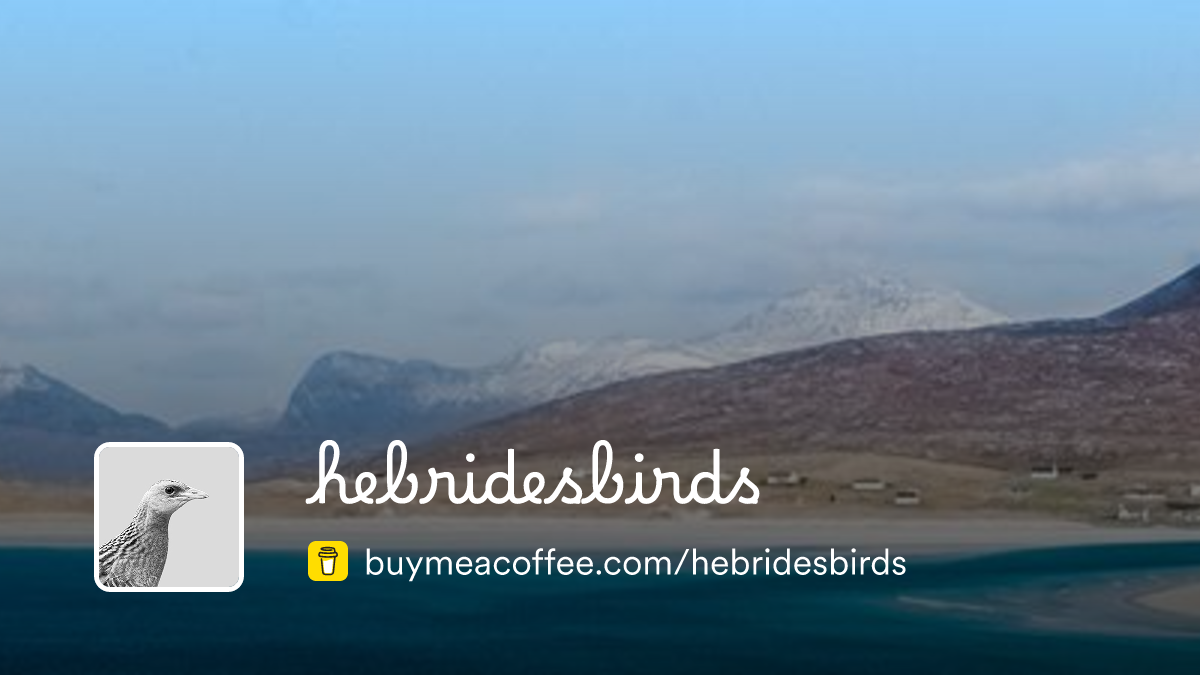 hebridesbirds is chatting about birds in the Outer Hebrides every day ...