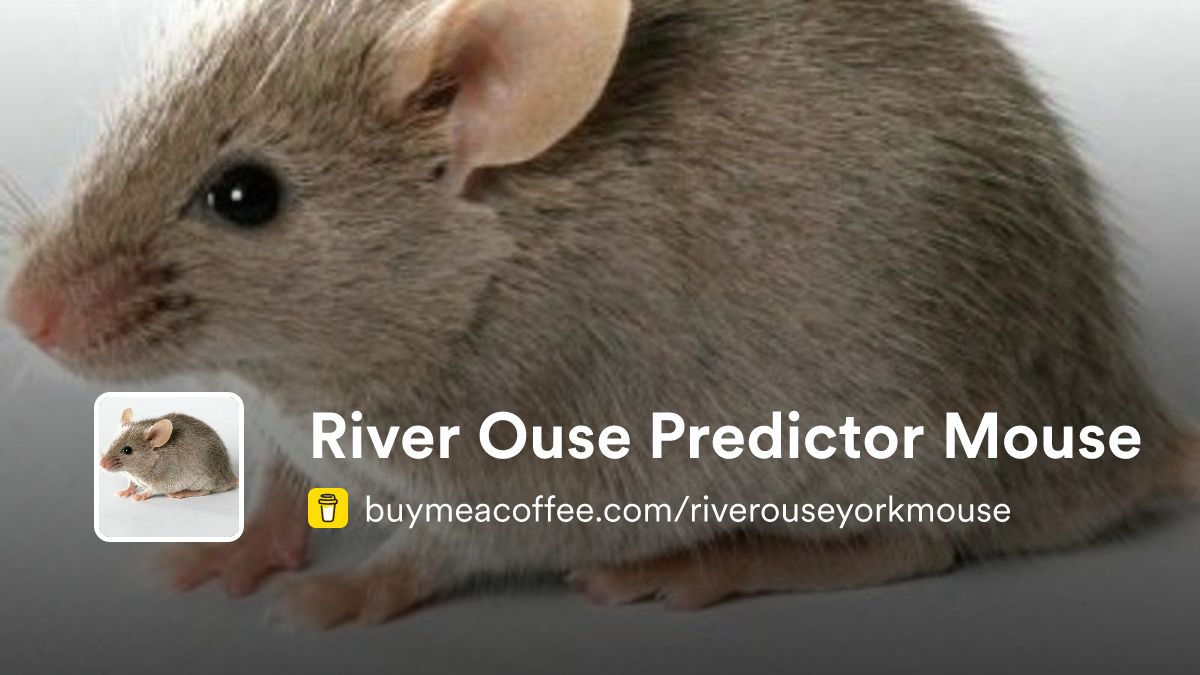 River Ouse Predictor Mouse - Buymeacoffee
