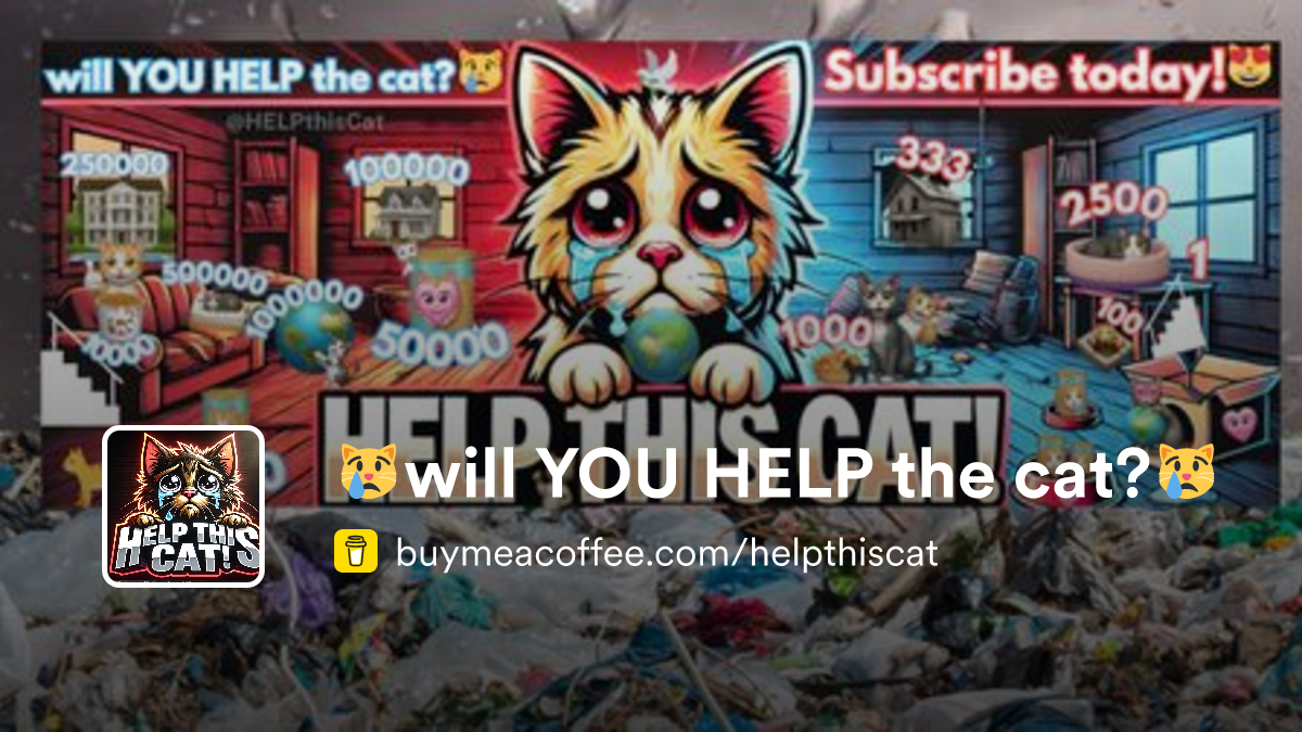 😿will YOU HELP the cat?😿 is 🌎🕊️Global Cat Love😻 - Buymeacoffee