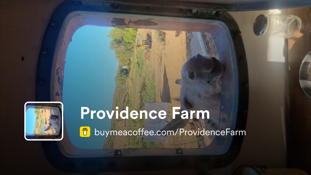 Providence Farm - Buymeacoffee
