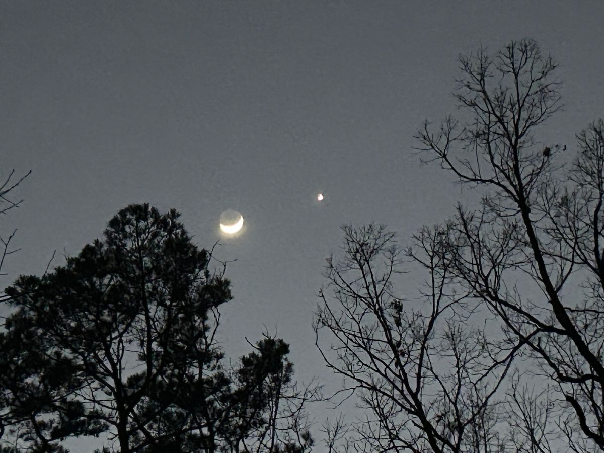 Venus, an Evening Star — Mary-Laurence Bevington - Buymeacoffee