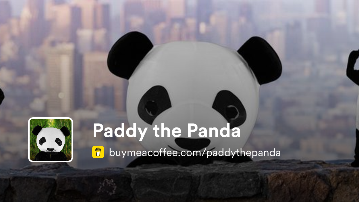 Paddy the Panda - Buymeacoffee