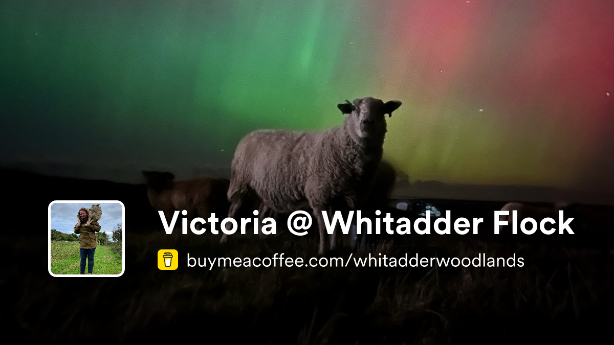 Victoria @ Whitadder Flock is Talking about life with my characterful ...